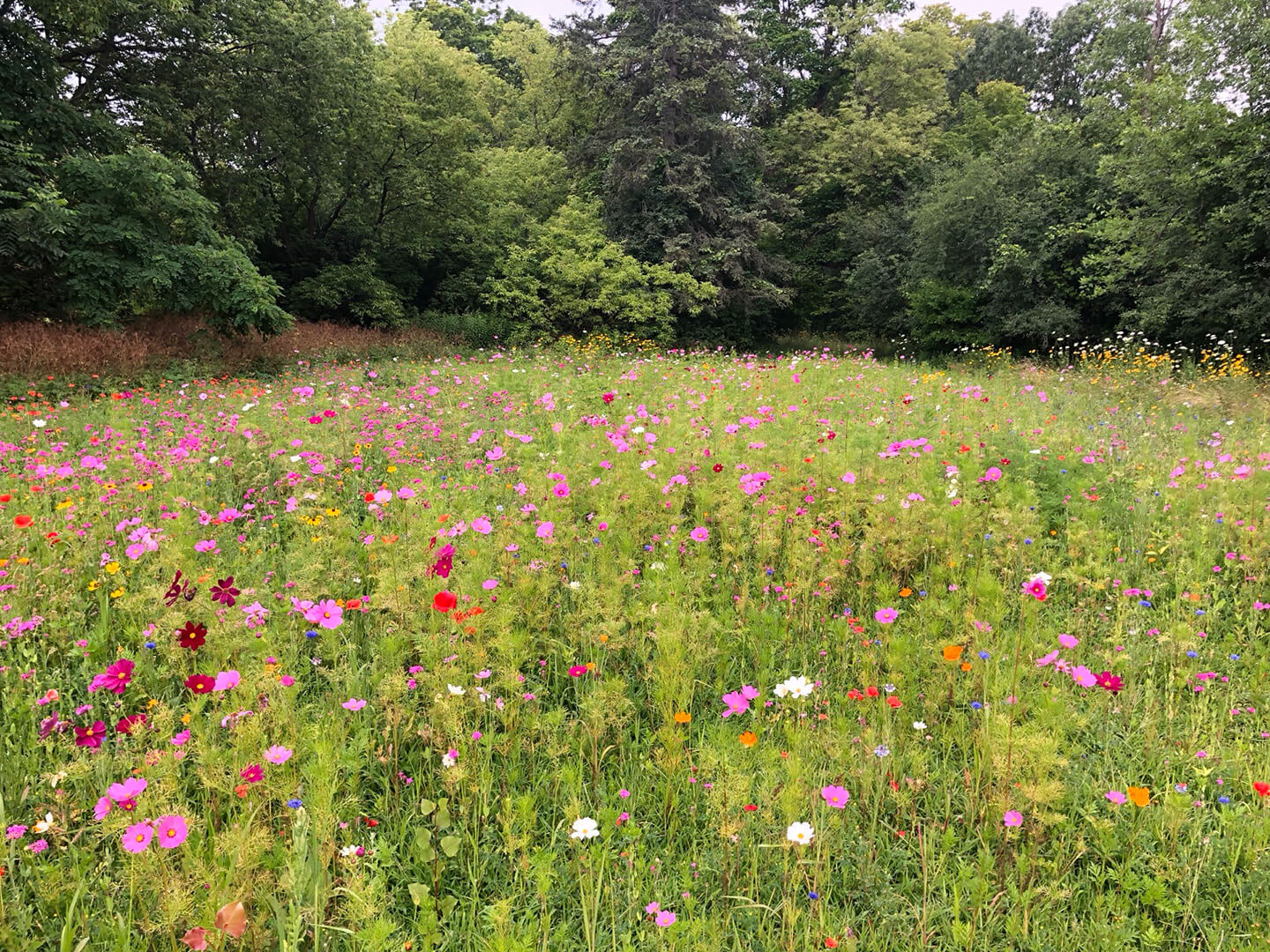 Corporate Social Responsibility - Upstone Materials