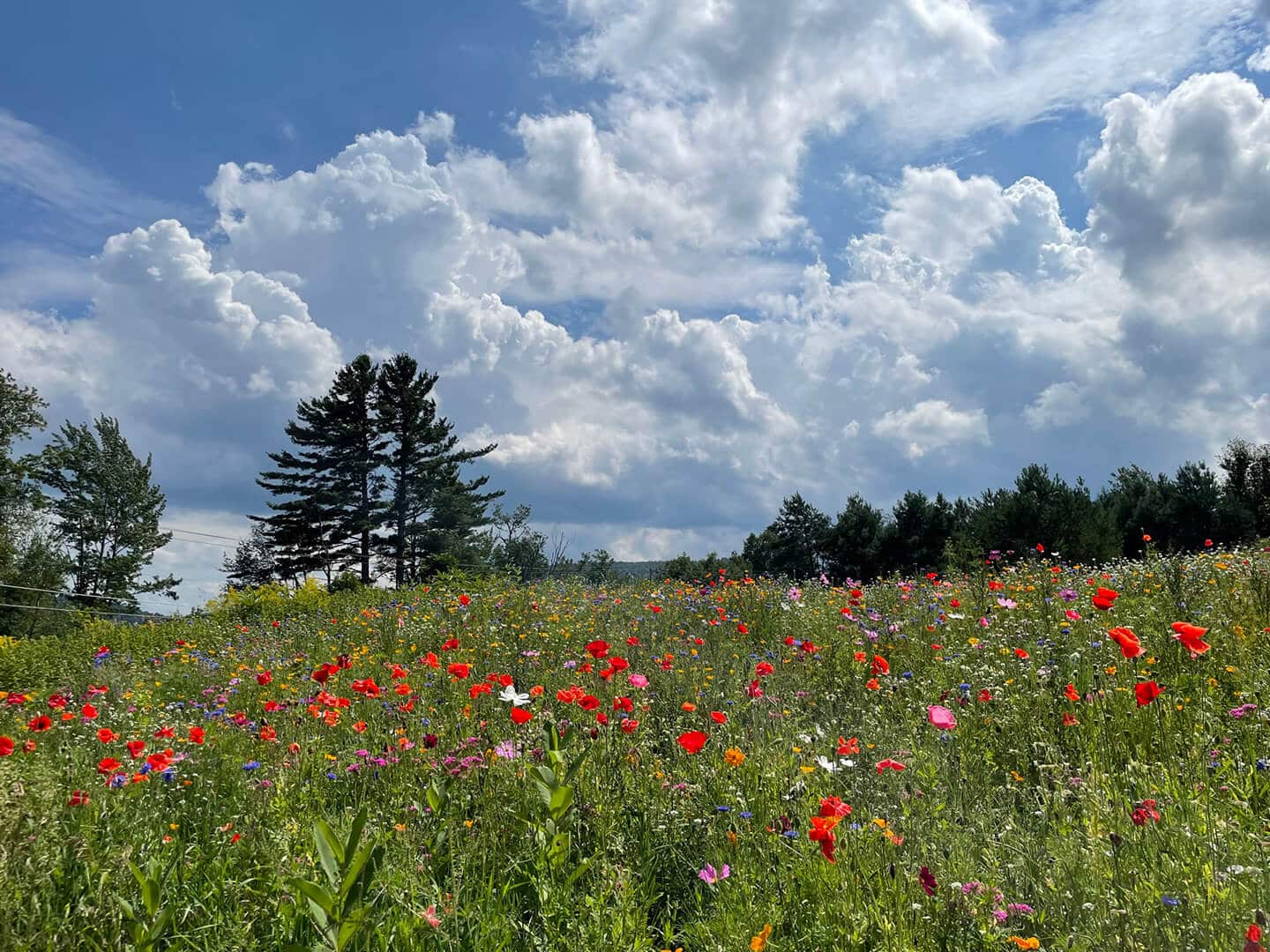 Corporate Social Responsibility - Upstone Materials